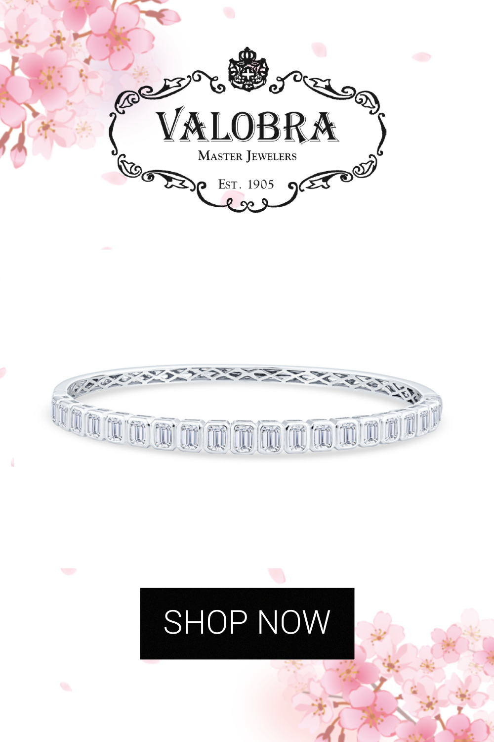 Inside Fort Worth’s Long-Awaited Hudson House — Your First Look at the ...